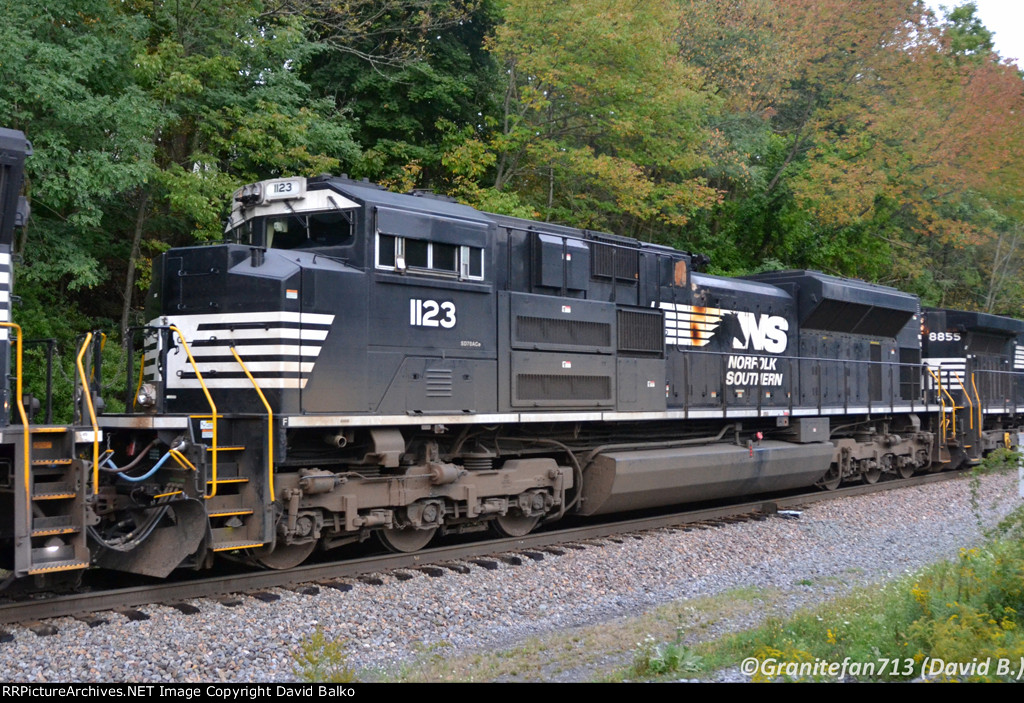 NS 1123